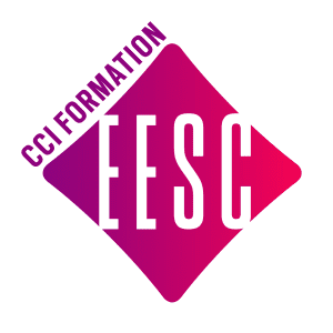 Cci formation - eesc (ecole d’enseignement supérieur consulaire) de